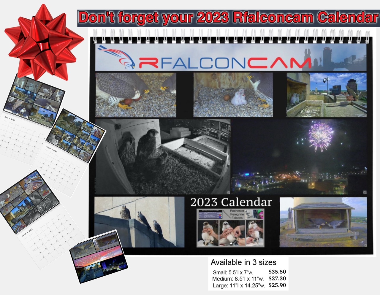 Imprints » Blog Archive » Rfalconcam 2023 Calendar Orders